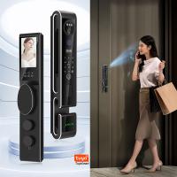 China 3D Face Intelligent Door Lock S666 With Intercom Luxury Door Lock for sale