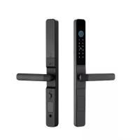 China Qleung S617-2 Waterproof Intelligent Tuya Wifi Remote Control Smart Home Door Lock for sale