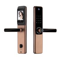 China S802Pro HD Camera Inteligente Tuya Biometric Fingerprint IC Card Key Smart Home Door Lock With WiFi Connectivity for sale