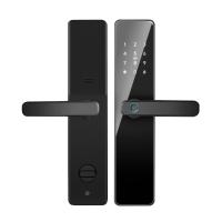 China Qleung S819 Aluminum Door Fingerprint WiFi Enabled Tuya TTlock With Password Key Card for Home for sale