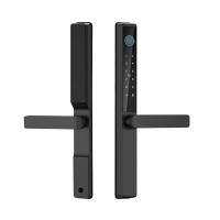 China Qleung Waterproof Digital Door Lock Tuya TTlock APP Framed Glass Password Card Fingerprint S960 Smart for sale