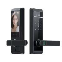 China Qleung Tuya Face Recognition Palm Print Fingerprint Password Card Key Unlock Smart Home Door Lock for sale