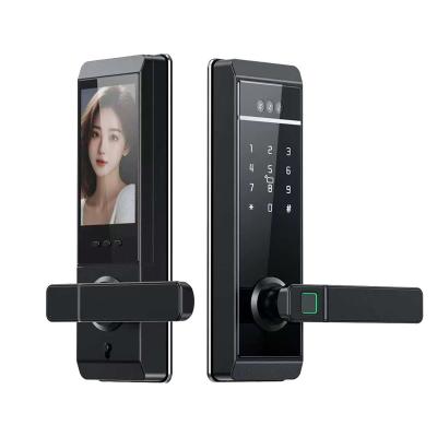 China Qleung Tuya Face Recognition Palm Print Fingerprint Password Card Key Unlock Smart Home Door Lock for sale