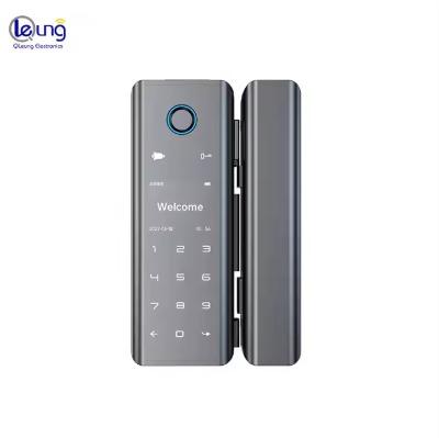 China Qleung G9S Tuya APP Password Code Card Key Fingerprint Smart Home Door Lock For Glass Door for sale