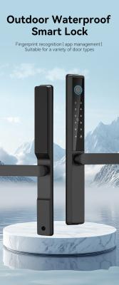 China Qleung S960 Digital Glass Door Lock With Fingerprint Recognition Password Card Key Phone APP for sale