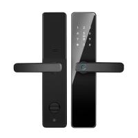 China S819 Digital Smart Home Door Lock WiFi Enabled Tuya TTlock  & Fingerprint with Password Key Card Lock for sale