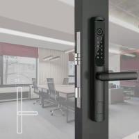China Black Zinc Alloy Smart Lock with Fingerprint WiFi Bluetooth for Aluminum Doors for sale