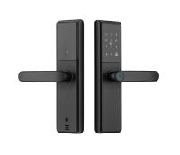 China Qleung S851 Smart Door Lock Tuya Wifi Smart Remote Control Fingerprint Password Card Key for Hotels Apartments Offices for sale