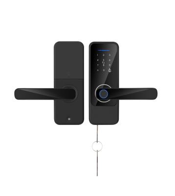 China Qleung S810 Smart Door Lock with Fingerprint Password Card Tuya App Remote Control for 38-55mm Door Thickness for sale