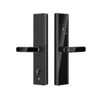China Qleung S819-2 Smart Door Lock with 6 Unlock Ways 8 Languages and 38-100mm Door Thickness for sale