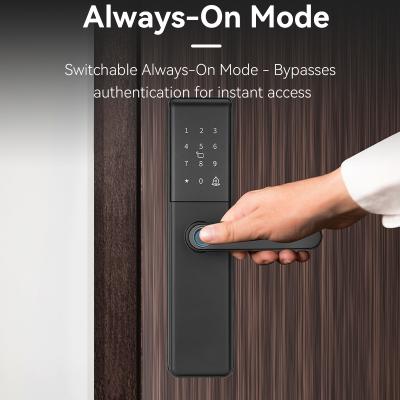 China Qleung S851 Tuya Smart Door Lock with Cloud Data Storage Grade B Lock Cylinder and Wi-Fi Network for sale