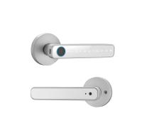 China Qleung Smart Handle Lock S604N Fingerprint Password Card Key Unlocking Tuya Smart Home Lock for sale
