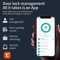 China S931MAX 3D Face Recognition Tuya Active Video Calling Smart Door Lock with 6068-24*240mm Mortise for sale