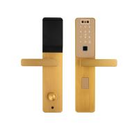 China S869 Gold Color CNC Slim Plate Face Recognition  Palm Vein Unlock Tuya Door Lock for sale