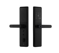 China S859 Anti-Theft Tuya Smart Fingerprint Lock Multiple Unlock Ways Temporary Password for Rental for sale