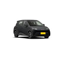 China 2023 2024 Hot Sale 305km 405 km EV Free Vitality Edition Byd Seagull New Energy Electric Car for sale