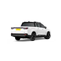 China Geely RD6 Electric Pickup Truck The Future of Sustainable Transportation for sale