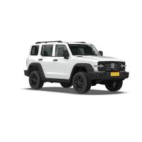 China 2023 Chinese Gwm 2.0t Petrol Gasoline Tank 300 Suv Off-Road Edition Ready for Purchase for sale