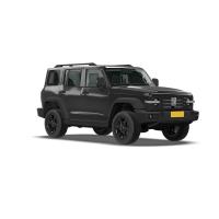China 2023 2024 2.0T 5 Seats Changcheng Tank 300 Urban Version Super SUV for Stylish Design for sale