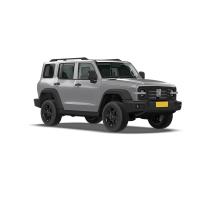 China 2023 2024 2.0T 5 Seats Changcheng Tank 300 Urban Version Super SUV for Stylish Design for sale