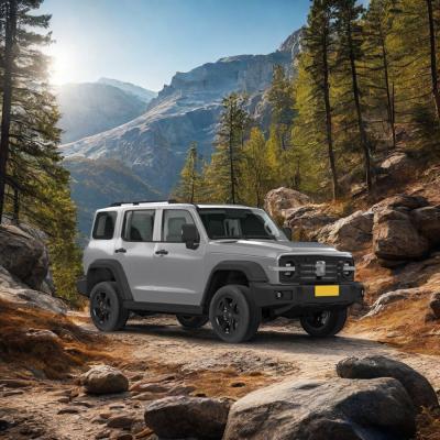 China Metal Roof Rack Great Wall Tank 300 SUV Gasoline Adult Vehicle with 4L Engine Capacity for sale