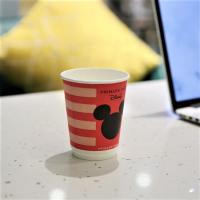 China Personalized Disposable Takeaway Paper Coffee Cups With Lids 16 Oz Custom Order Now for sale