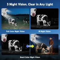 China 3MP+3MP Dual-Lens PTZ Dome Camera System 4PCS 16CH NVR 360° Night Vision Two-Way Audio IP66 for sale