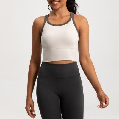 China Women High Support Sports Bra 80 Nylon 20 Spandex Moisture Wicking Yoga Gym Cropped Blue White Contrast Trim for sale