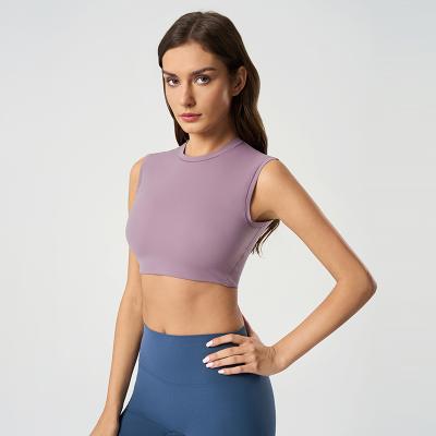 China High Neck Lavender Sports Crop Top 77% Nylon 23% Spandex Sleeveless Breathable Yoga Gym Workout for sale