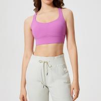 China Women's Seamless Yoga Sports Bra 80% Nylon 20% Spandex Medium Support Purple Crop Top for sale