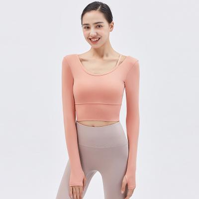 China Women's Ribbed Seamless Long Sleeve Crop Top 80% Nylon 20% Spandex Built in Bra Yoga Workout Shirt Peach Pink for sale