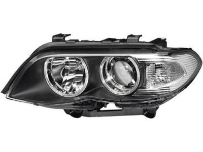 China 63117166803 Headlight for BMW X5 (E53) for sale