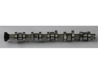 China 070109101P Engine Parts Camshaft for VW CALIFORNIA T5 Camper (7EC, 7EF, 7EG, 7HF) for sale