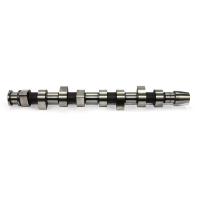 China 028109101D Engine Parts Camshaft for AUDI 80, VW GOL, SEAT CORDOBA (6K1, 6K2), SKODA for sale