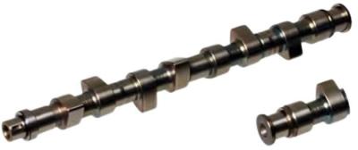China 026109101Q Engine Parts Camshaft for AUDI 80, VW GOLF for sale