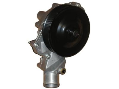 China LR010801 Engine Parts Water Pump for sale