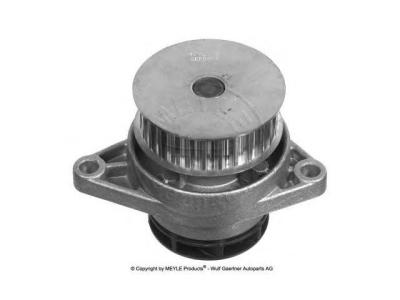 China 036121005P Engine Parts Water Pump for sale