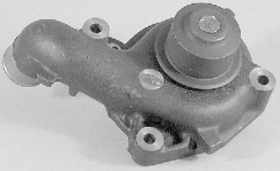 China 5020242 Engine Parts Water Pump for sale