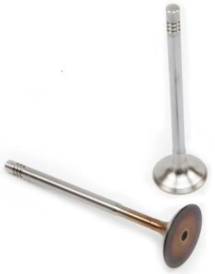 China 036109601AD Engine Parts Engine Valve for sale