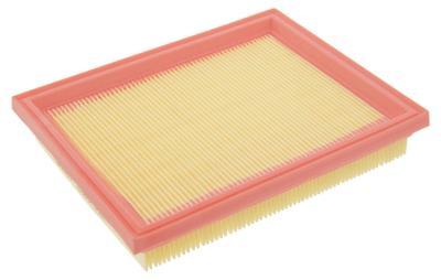 China 2S619601CA Engine Parts Air Filter for sale