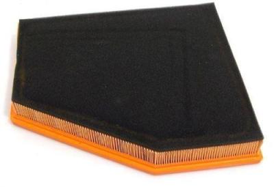 China 13717793647 Engine Parts Air Filter for sale