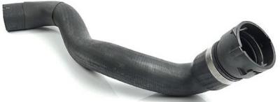 China Chemical Resistance Coolant Reservoir Tank Hose 2205010382 Engine Cooling Radiator for sale