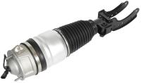 China 7P6616039N Air Suspension Parts Air Suspension Strut for sale