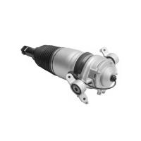 China 7P6616020N Air Suspension Parts Air Suspension Strut for sale