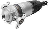 China 7P6616019N Air Suspension Parts Air Suspension Strut for sale