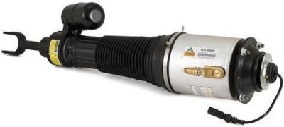 China 3D0616040D Air Suspension Parts Air Suspension Strut for for sale