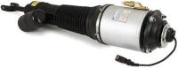 China 3D0616039D Air Suspension Parts Air Suspension Strut for for sale