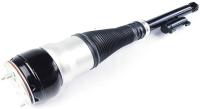 China 2223207313 Air Suspension Parts Air Suspension Strut for sale