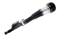 China 2213201238 Air Suspension Parts Air Suspension Strut for sale