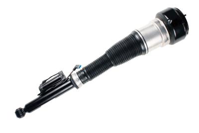 China 2213201238 Air Suspension Parts Air Suspension Strut for sale